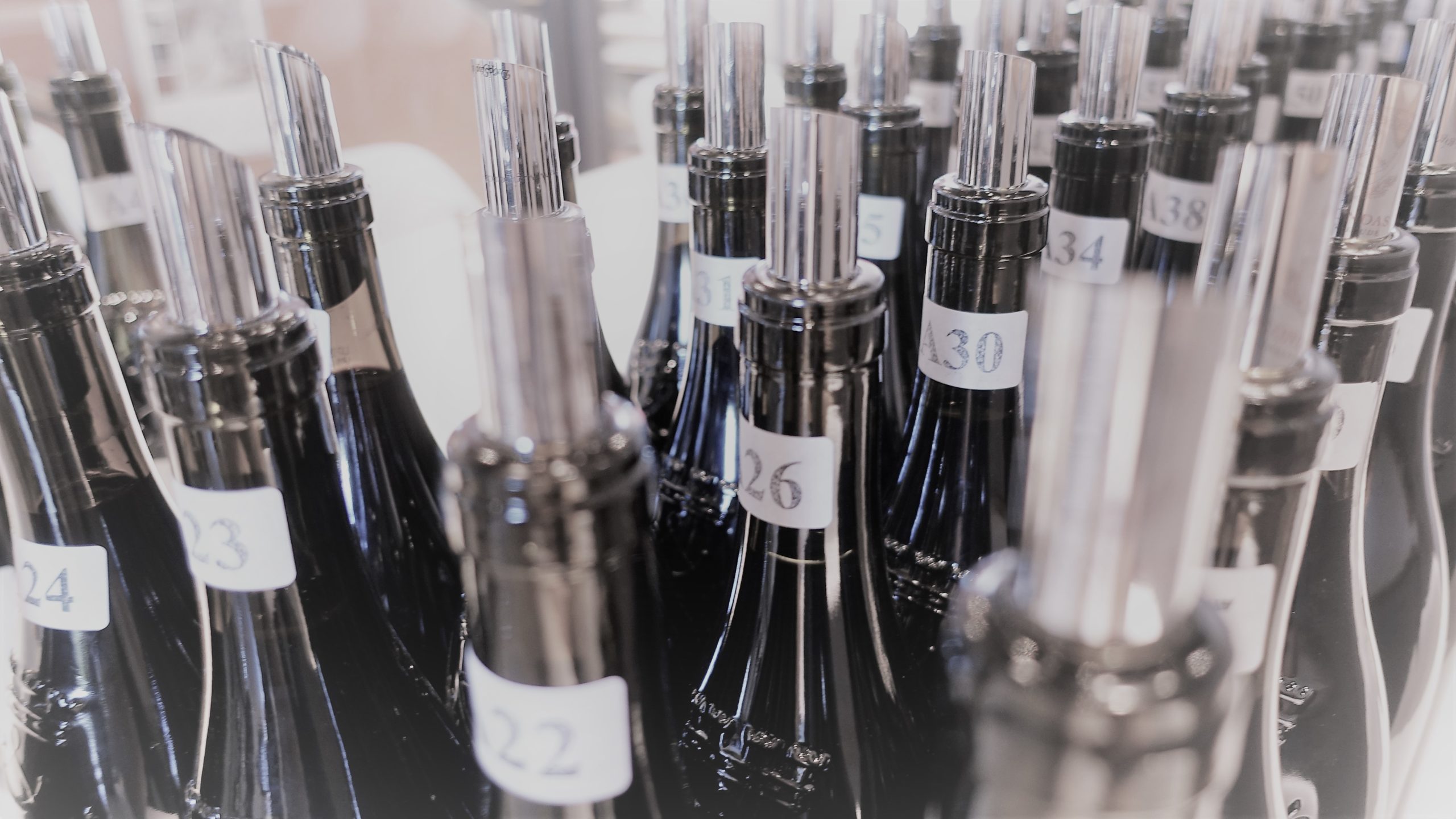Importer Highlight: Dan Kravitz's Hand Picked Selections - JebDunnuck.com