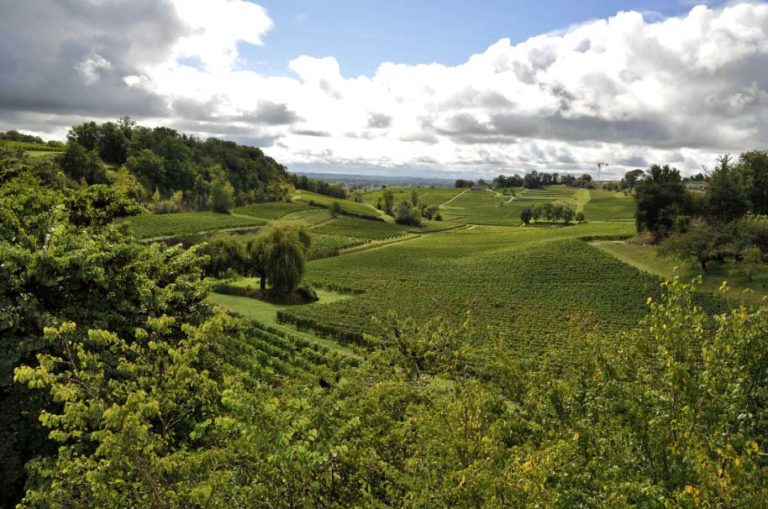 Château Barde-Haut: 2000-2016 - JebDunnuck.com