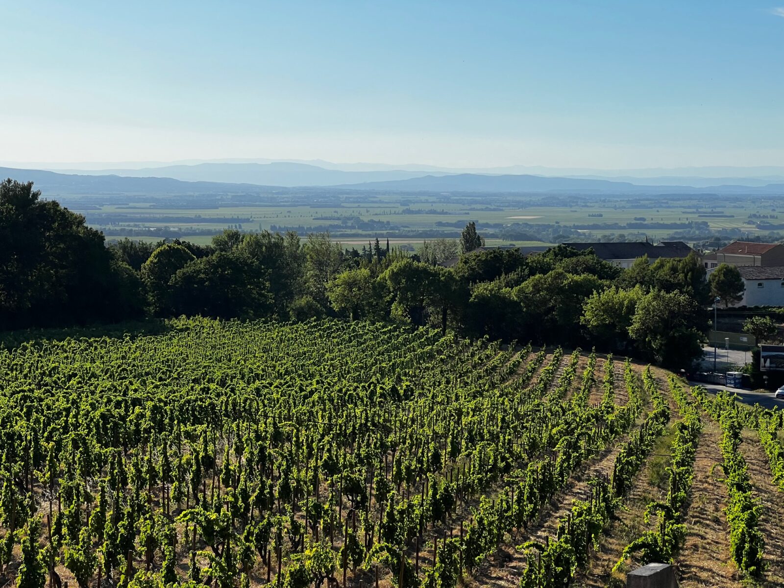 Southern Rhône Part 2: The 2020s and 2021s - JebDunnuck.com