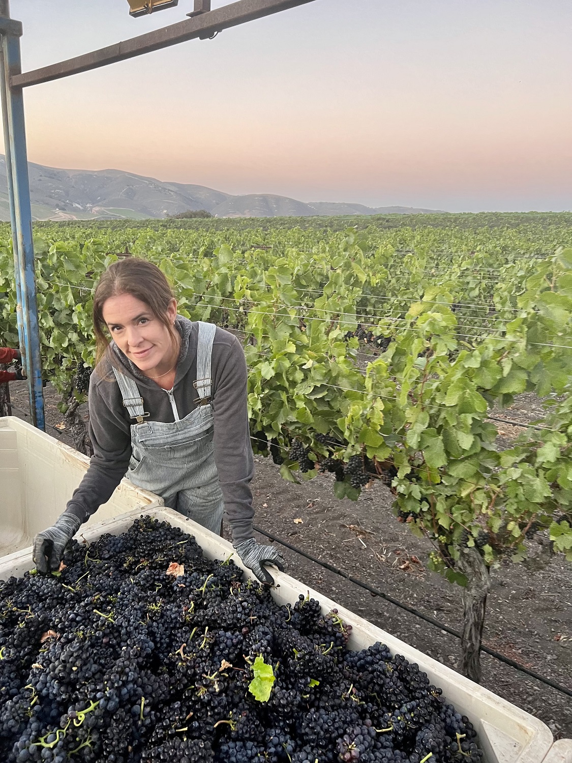 R.H. Drexel: The Story of Soil: Chatting with Jessica Gasca ...