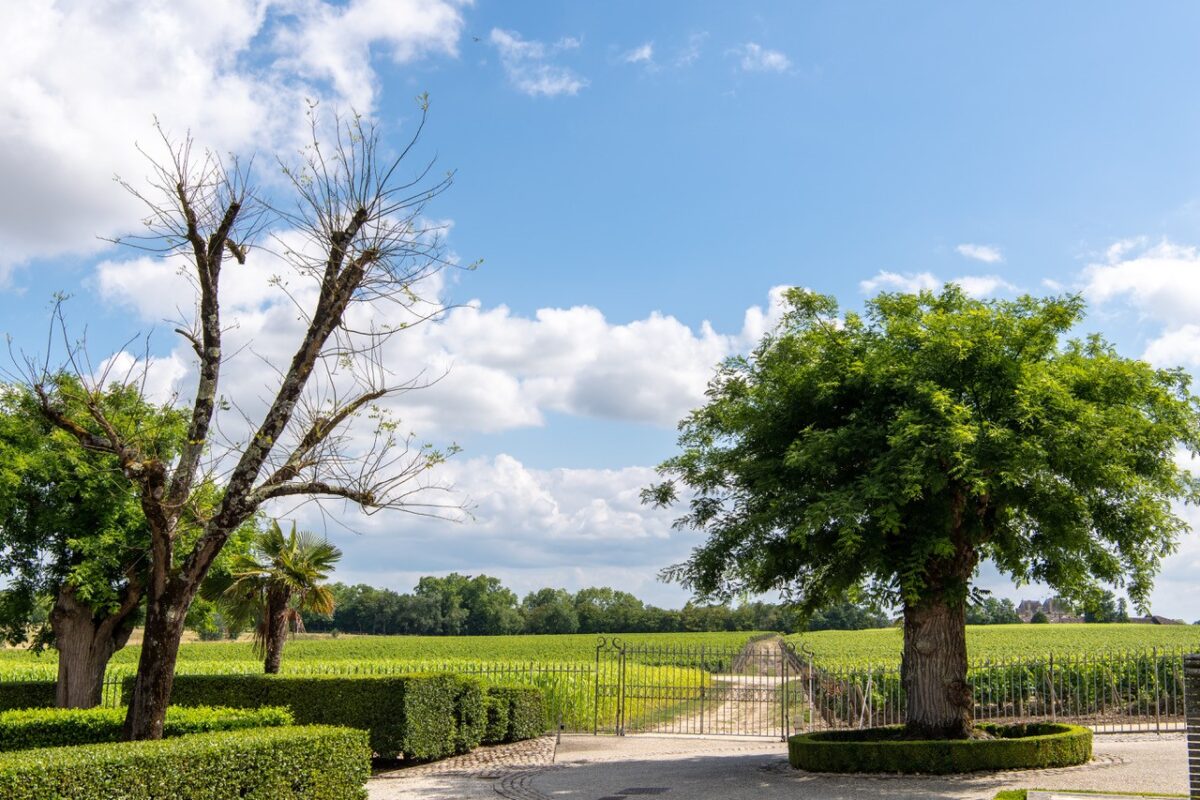 Château Ducru-Beaucaillou: Early Legends and the Era of Bruno-Eugène ...
