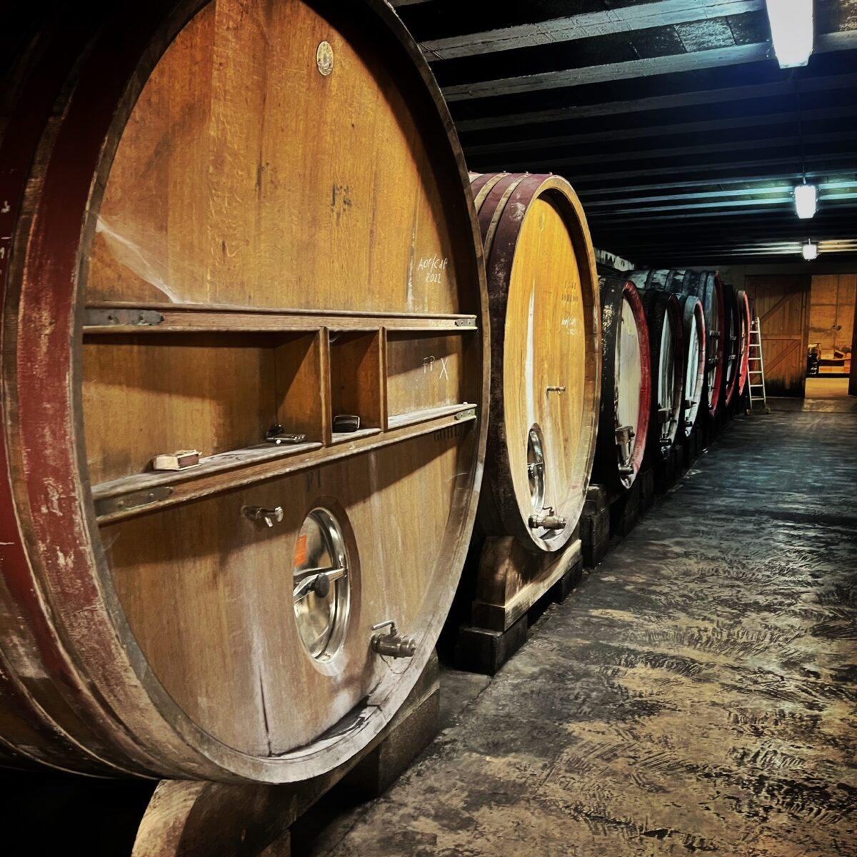 Southern Rhône: The 2021s From Bottle and the 2022s from Barrel ...