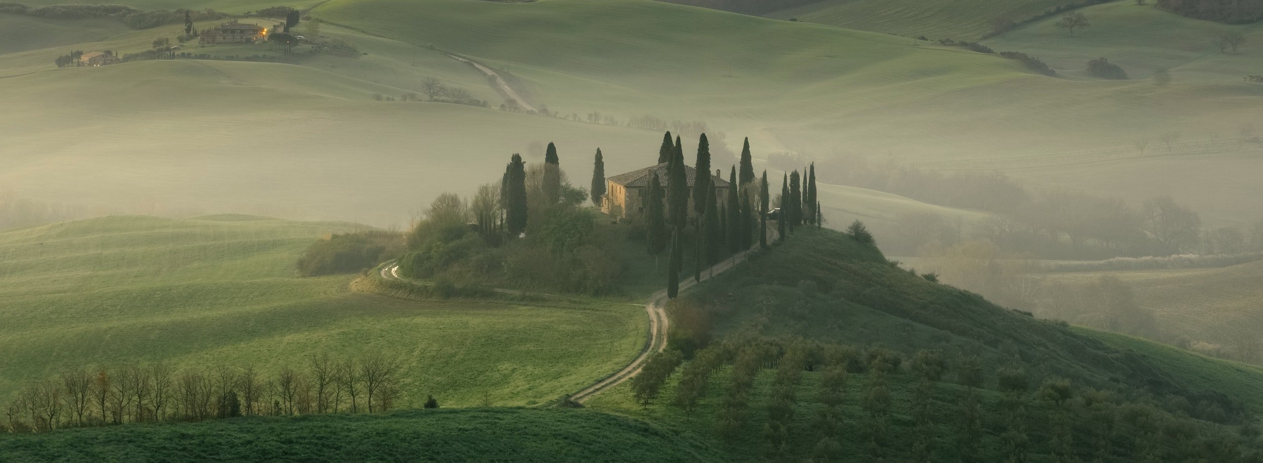 Audrey Frick: Up From The Cellar and More New Releases - JebDunnuck.com